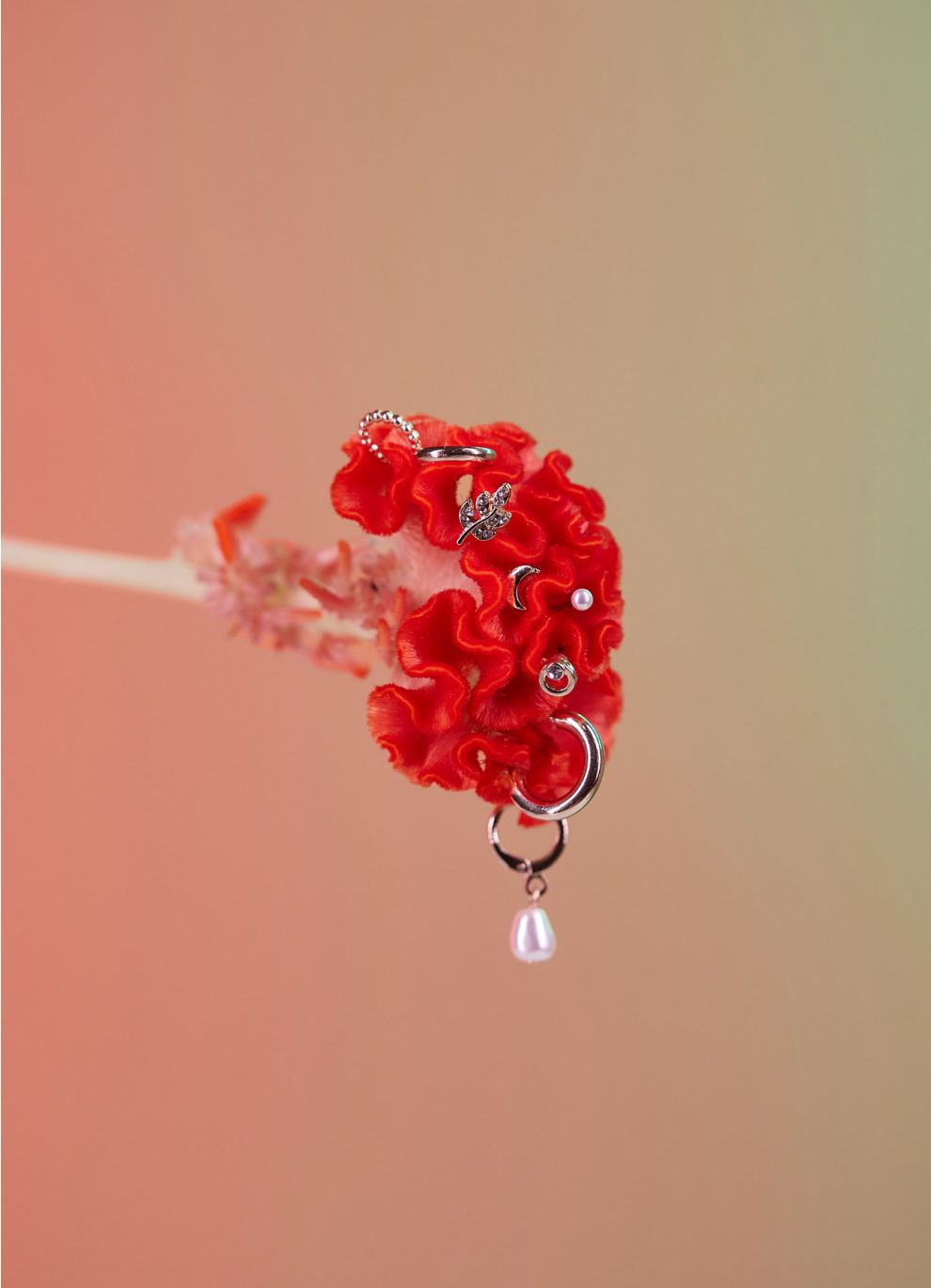 Calliope > Let's Party Donna online